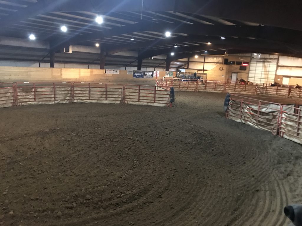 White Horse Arena – Calf Roping, Bulldogging, Heel Horses, Head Horses ...